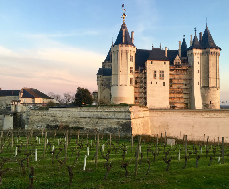 5 Fast Facts: Bordeaux — Plume Ridge Bottle Shop